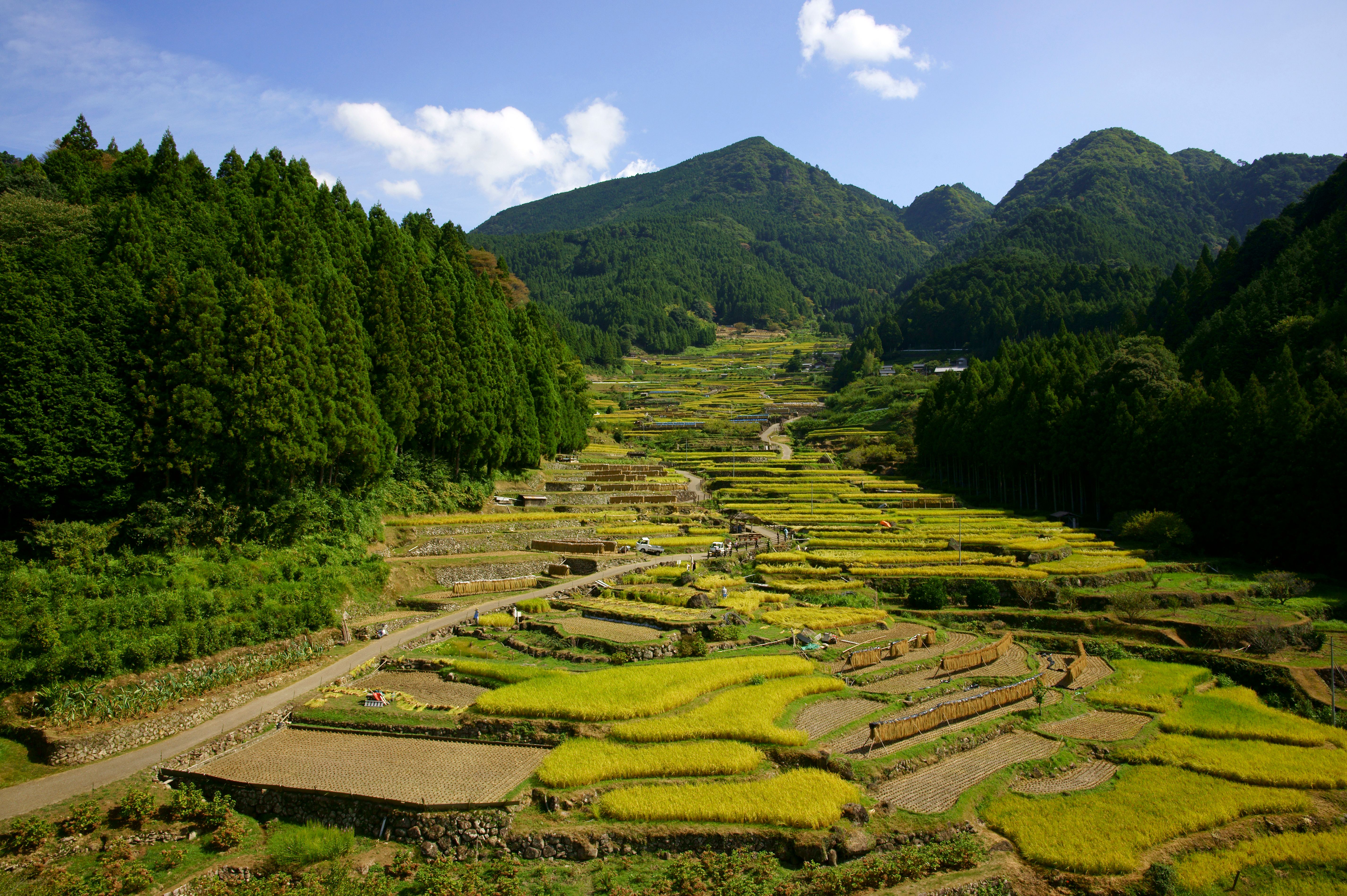 Hotels in Shinshiro ab CHF 44 – Finde günstige Hotels mit momondo
